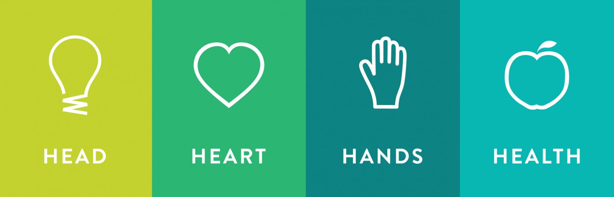 4-H Programs | Rutherford County