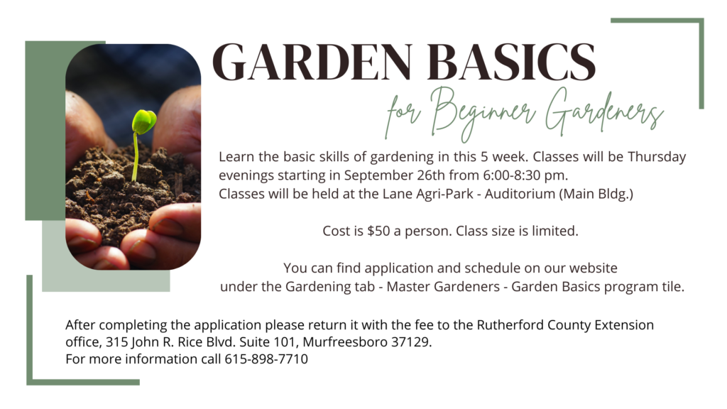 Rutherford County | Rutherford County